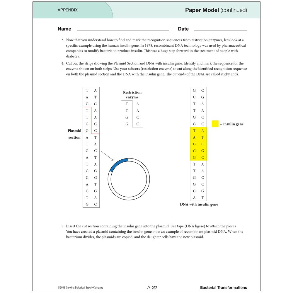 Ap Bio Worksheets Quiz & Worksheet Artificial Selection Biology Lab