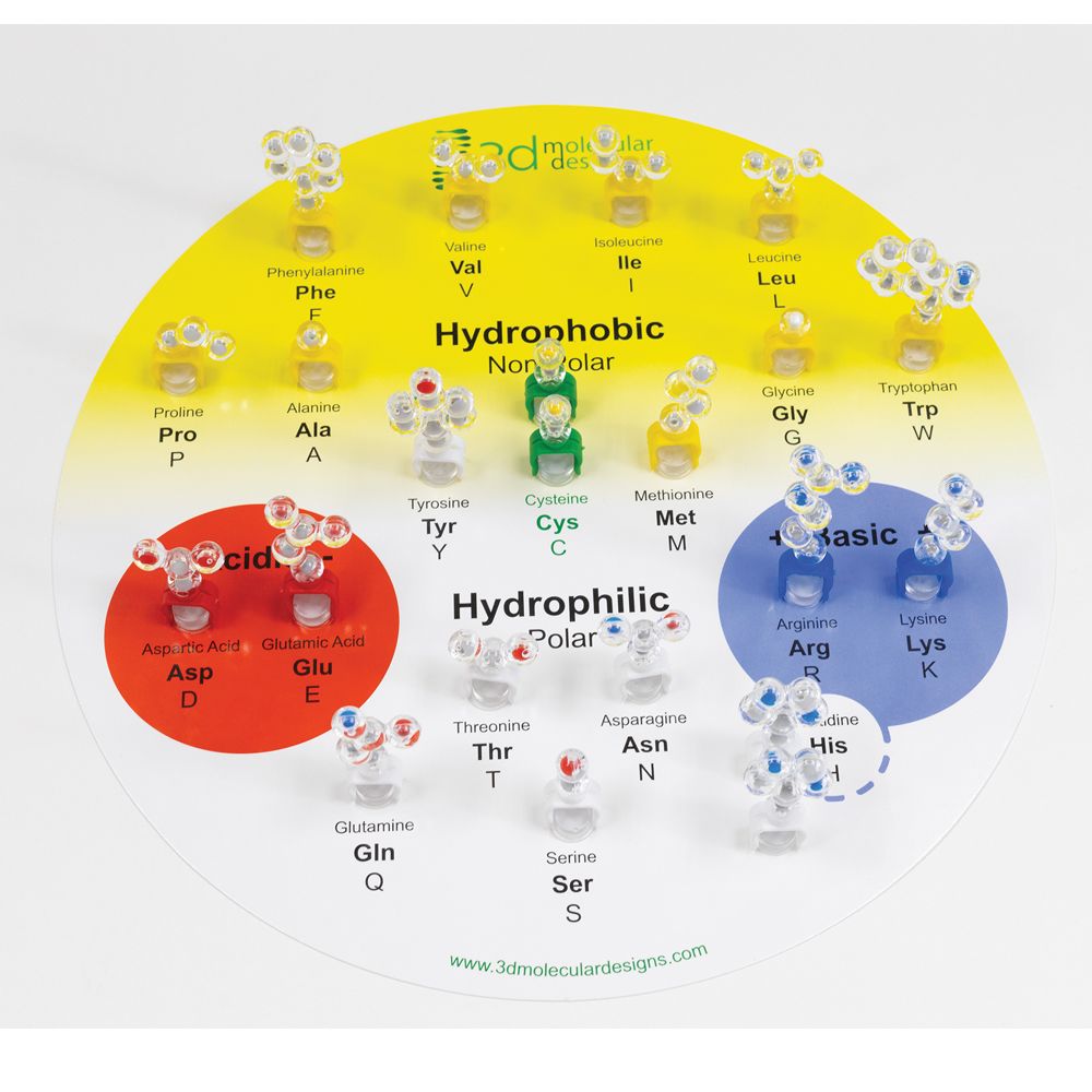 Amino Acid Starter Kit©, Set of 3 Kits | Carolina Biological Supply