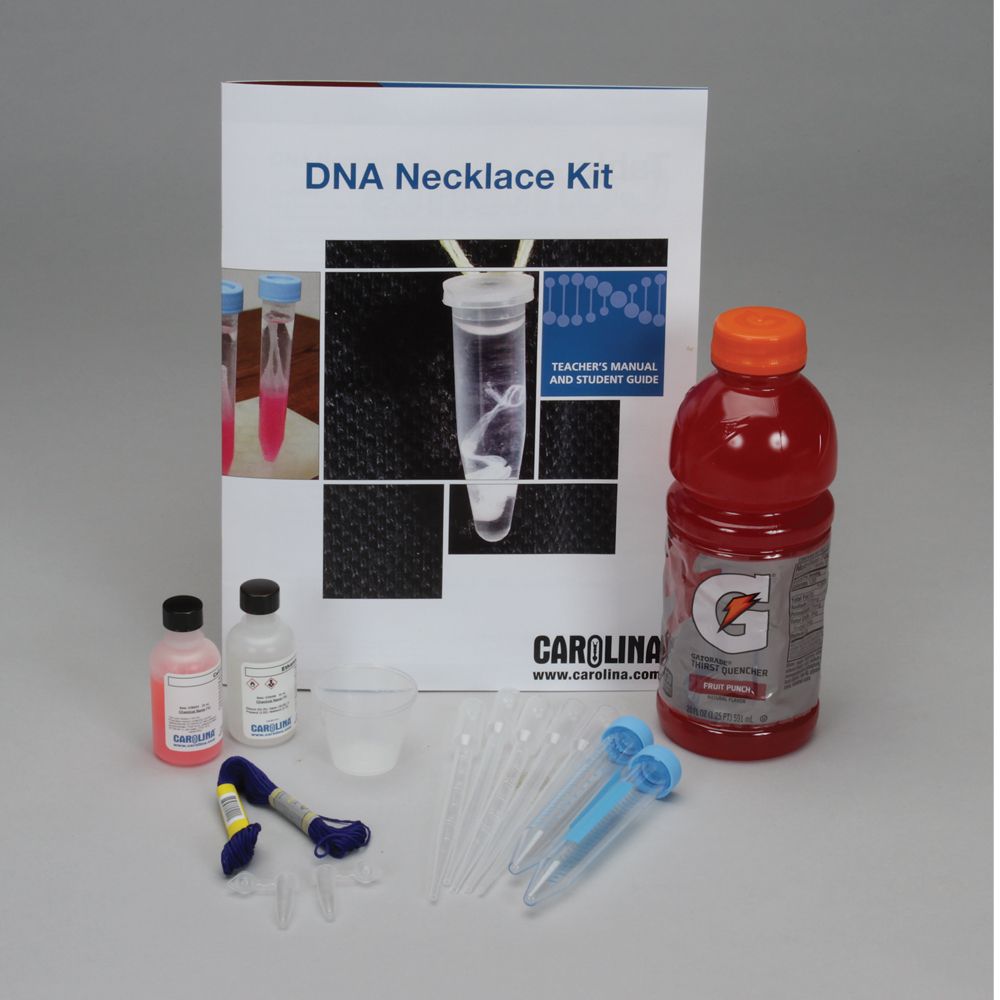 DNA Necklace Demonstration Kit | Carolina.com