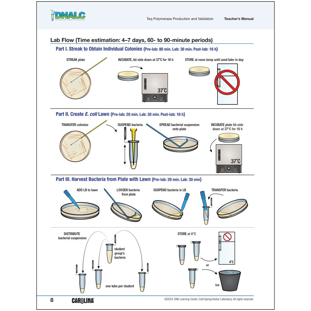 Taq Polymerase Production and Validation Digital Resources | Carolina ...