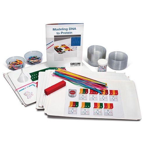 3 Dimensional Teaching and Learning | Carolina Biological Supply