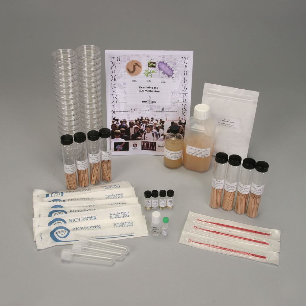 Examining the RNAi Mechanism Kit (RNAi and Amplification; with voucher ...