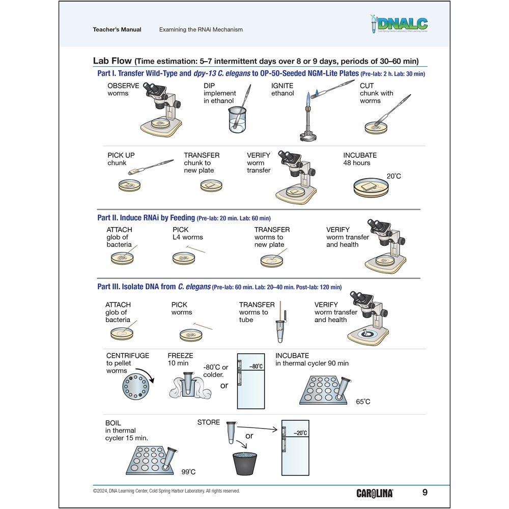 Examining the RNAi Mechanism Kit (RNAi and Amplification; with voucher ...