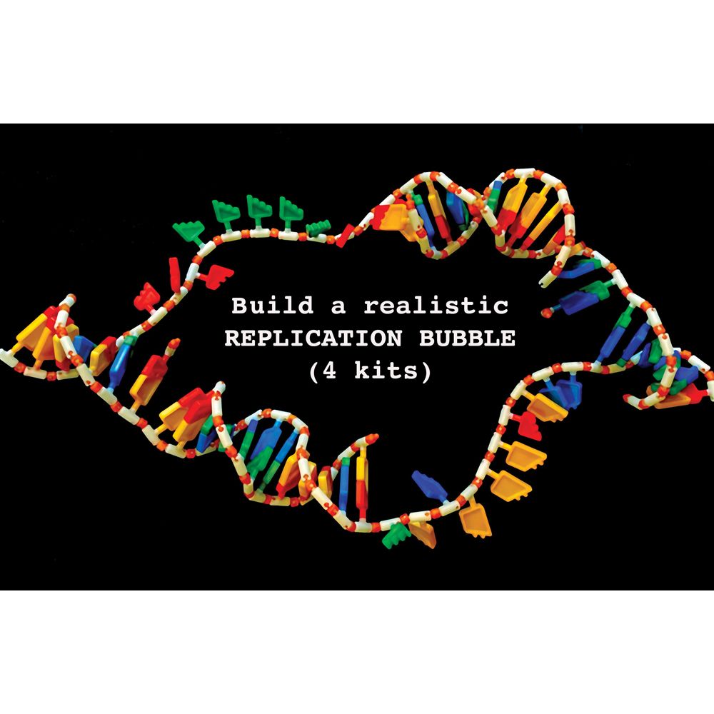 Dna Model Project Pipe Cleaners How To Make DNA With Pipe Cleaners