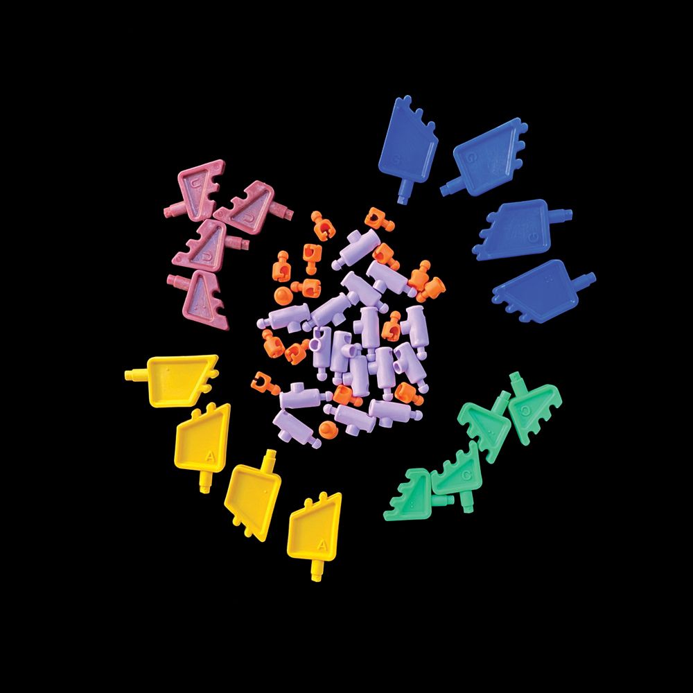 PlayDNA!™ RNA Model Kit Intro Pack | Carolina Biological Supply