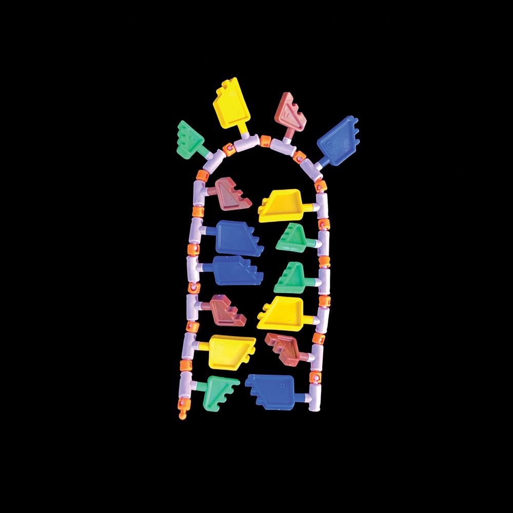 PlayDNA!™ RNA Model Kit Intro Pack | Carolina Biological Supply