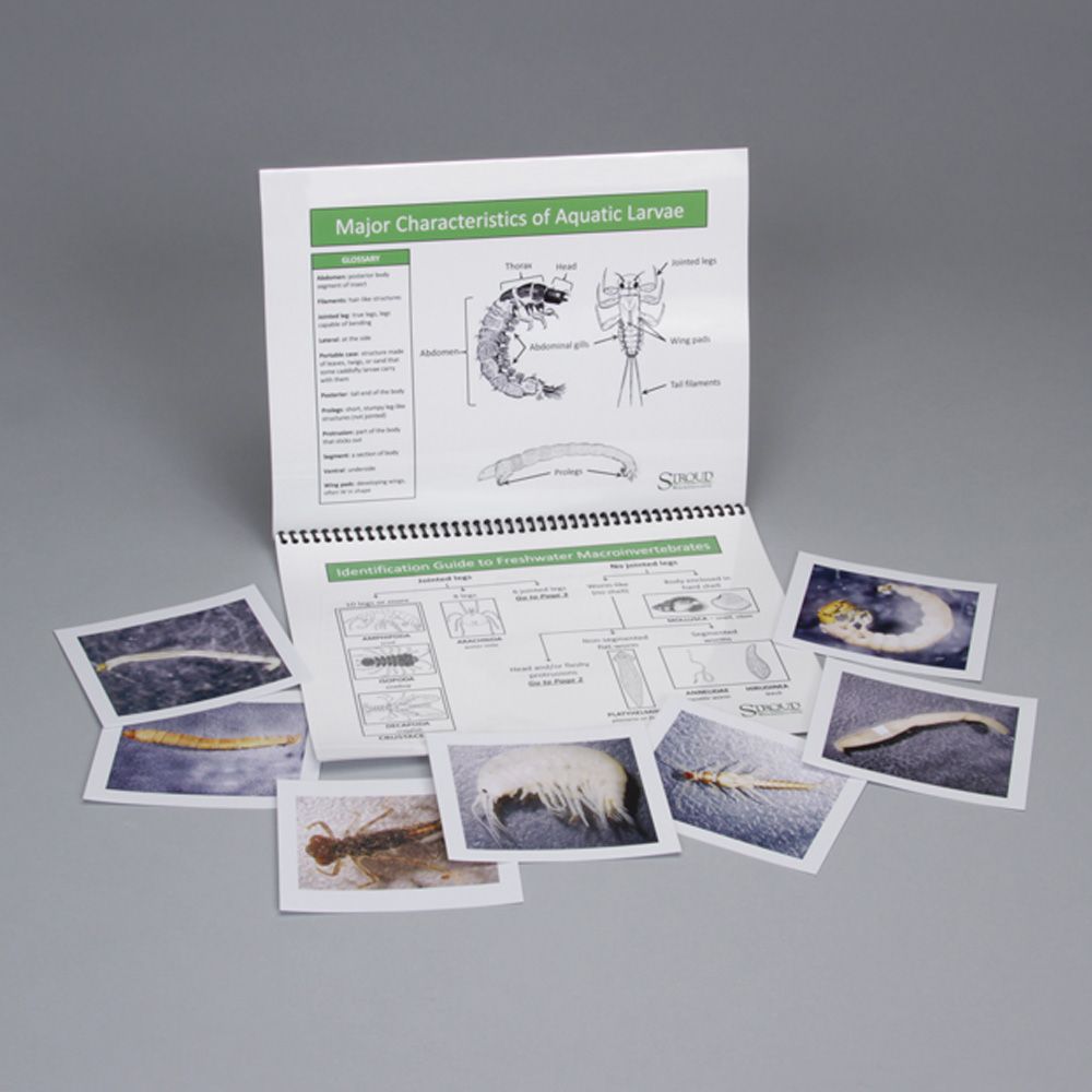 Carolina Beyond the Tape®: Lake Carson Crisis Interdisciplinary Kit ...