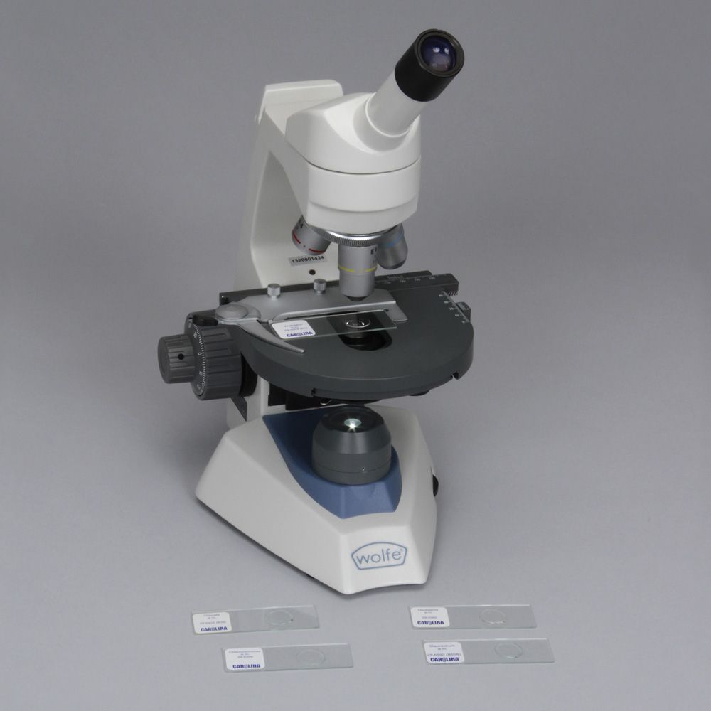 Carolina Beyond the Tape®: Lake Carson Crisis Interdisciplinary Kit ...