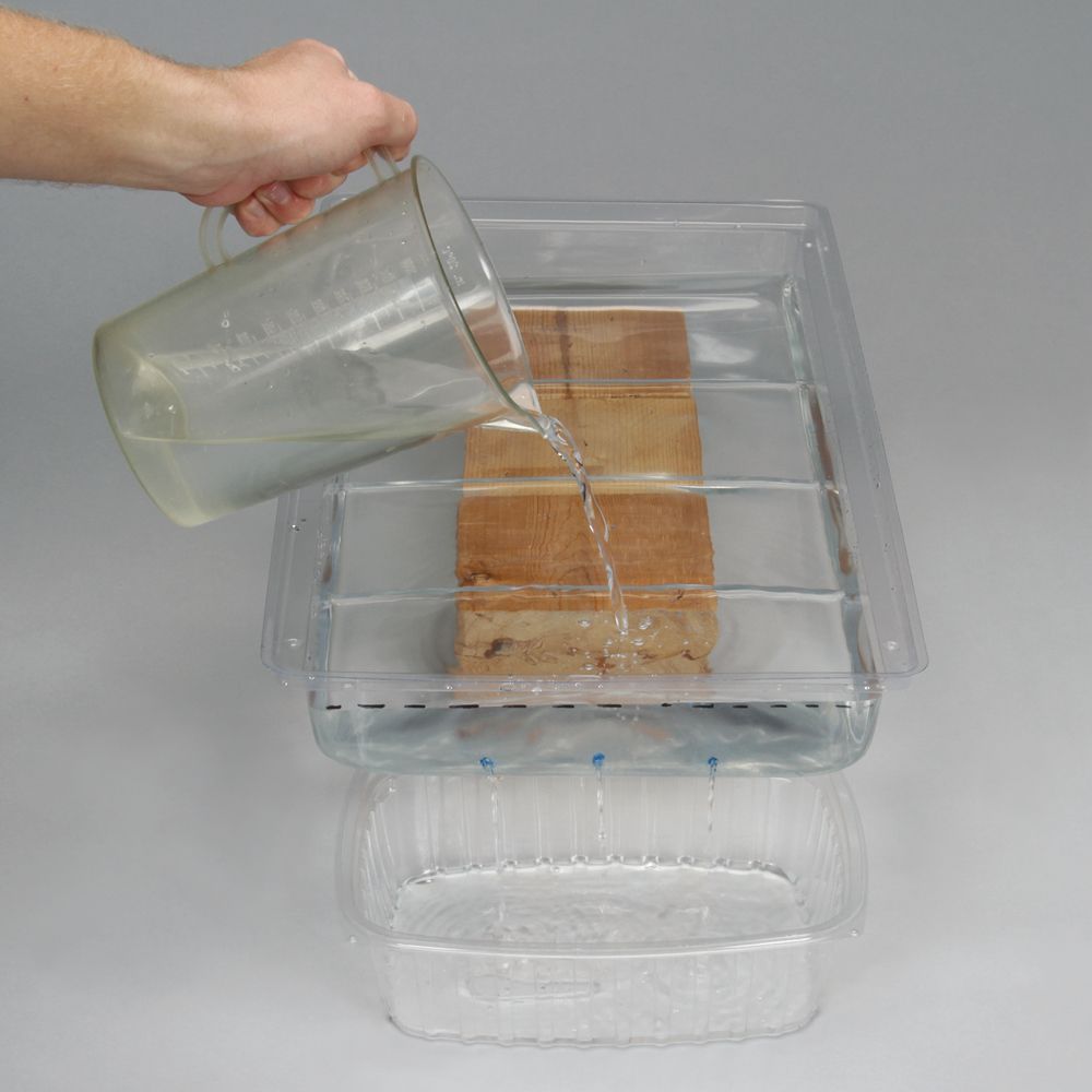 Carolina Beyond the Tape®: Lake Carson Crisis Interdisciplinary Kit ...