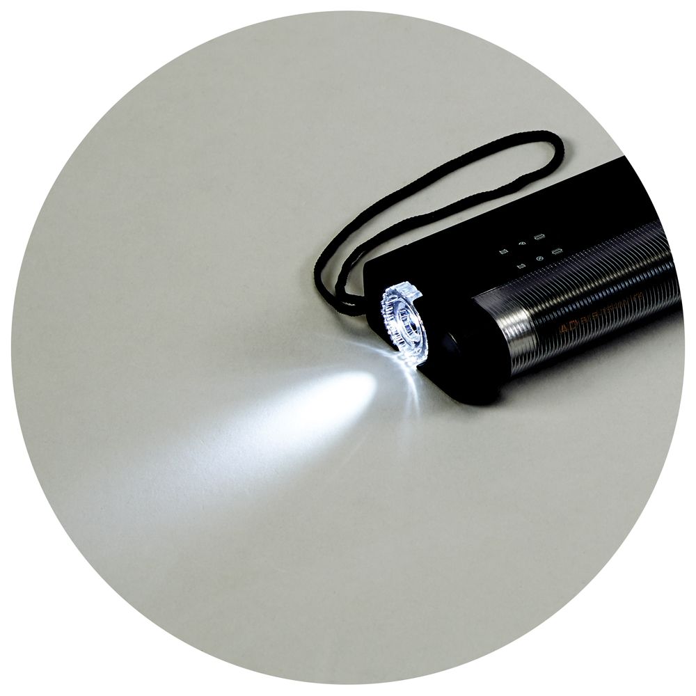 Economy Longwave Mini UV Light | Carolina Biological Supply