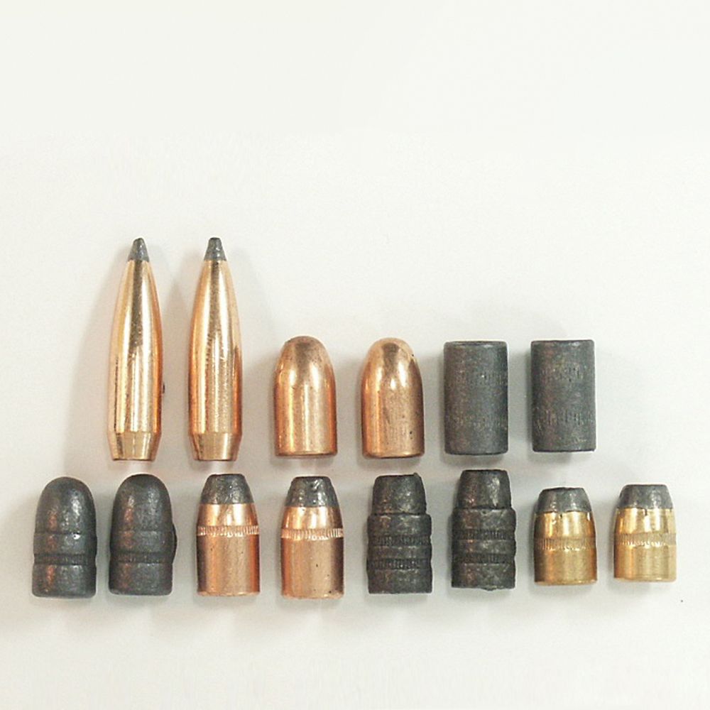 Bullet Display Set | Carolina.com