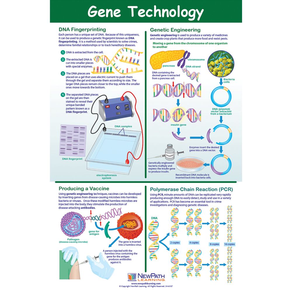 Biotechnology Poster | Carolina Biological Supply
