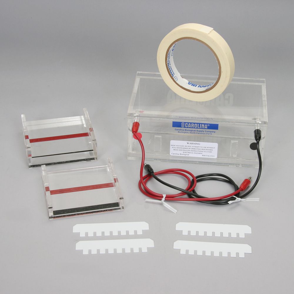 Carolina® Gel Electrophoresis Chamber Set | Carolina.com