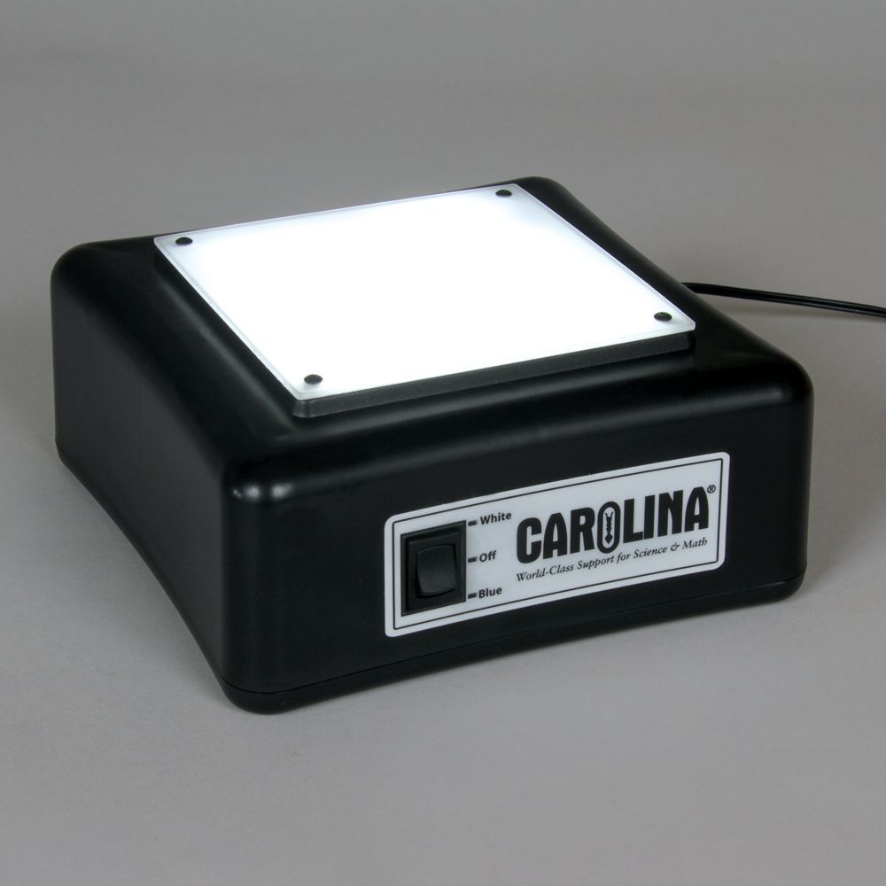 Carolina® LED Light Box | Carolina.com