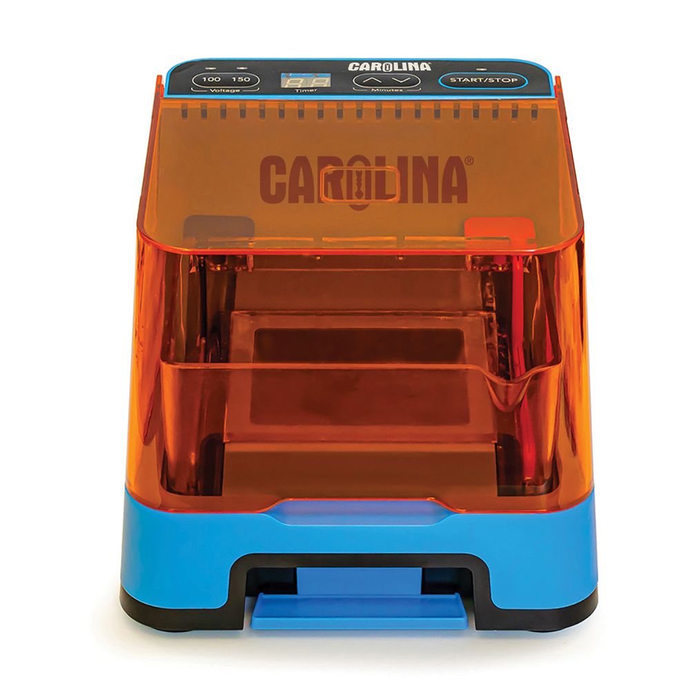 Carolina® Integrated Electrophoresis System, US Plug | Carolina ...