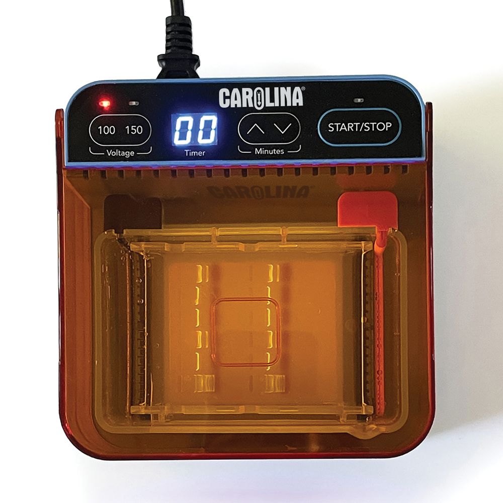 Carolina® Integrated Electrophoresis System, US Plug | Carolina ...