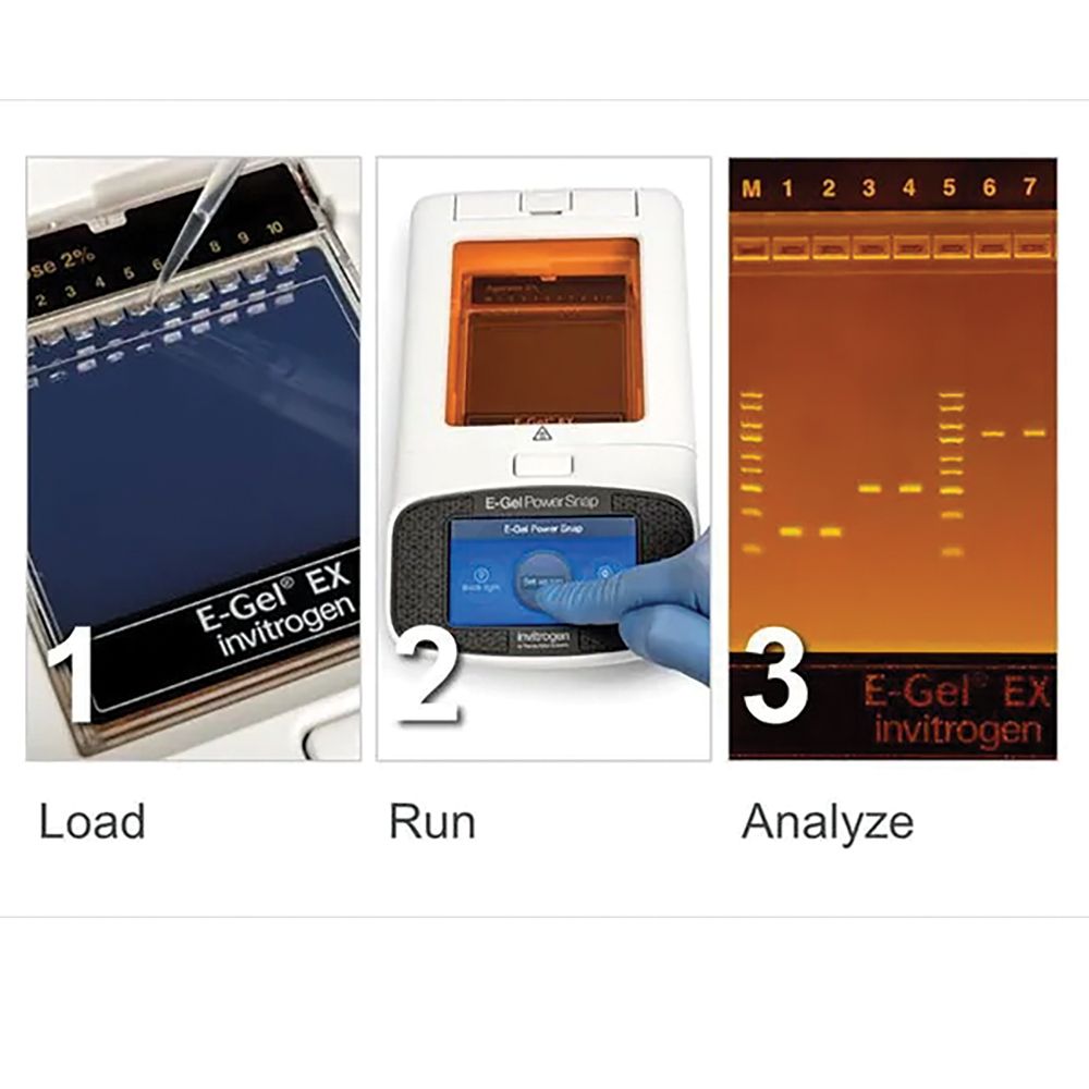 E-Gel® Power Snap Electrophoresis Device | Carolina Biological Supply