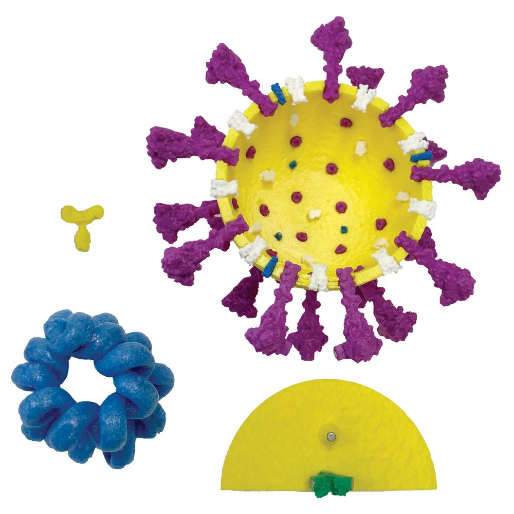 Virus 3d Model Project Virosome Drug Vaccine Delivery Mechanism