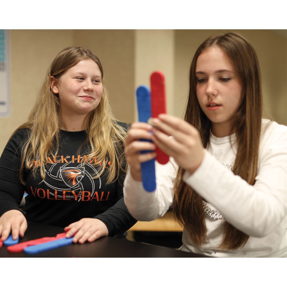 Chromosome Connections Kit© for 1 Group | Carolina Biological Supply