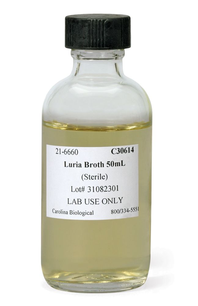 Luria Broth, 50-mL bottles, Pack of 5 | Carolina Biological Supply