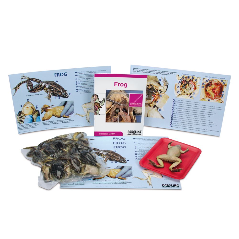 Frog Dissection BioKit® with Dissection Mats | Carolina.com