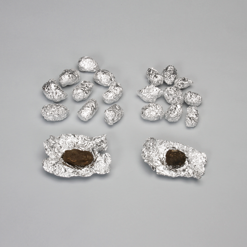 Owl Pellets | Carolina.com