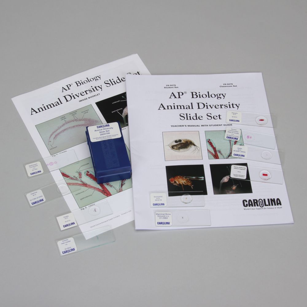 Animal Diversity Microscope Slide Sets for AP® Biology | Carolina ...