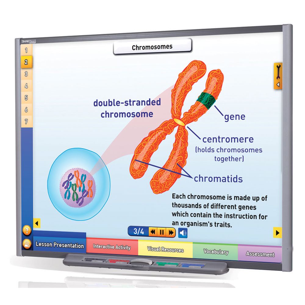 Multimedia Science Lessons for Interactive Whiteboards: Chromosomes ...