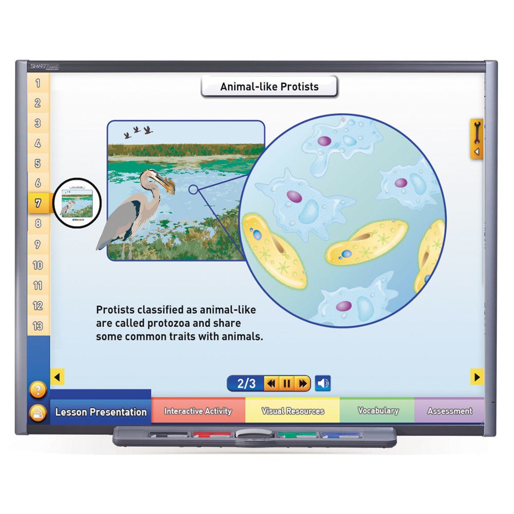 Multimedia Science Lessons for Interactive Whiteboards: Six Kingdoms of ...