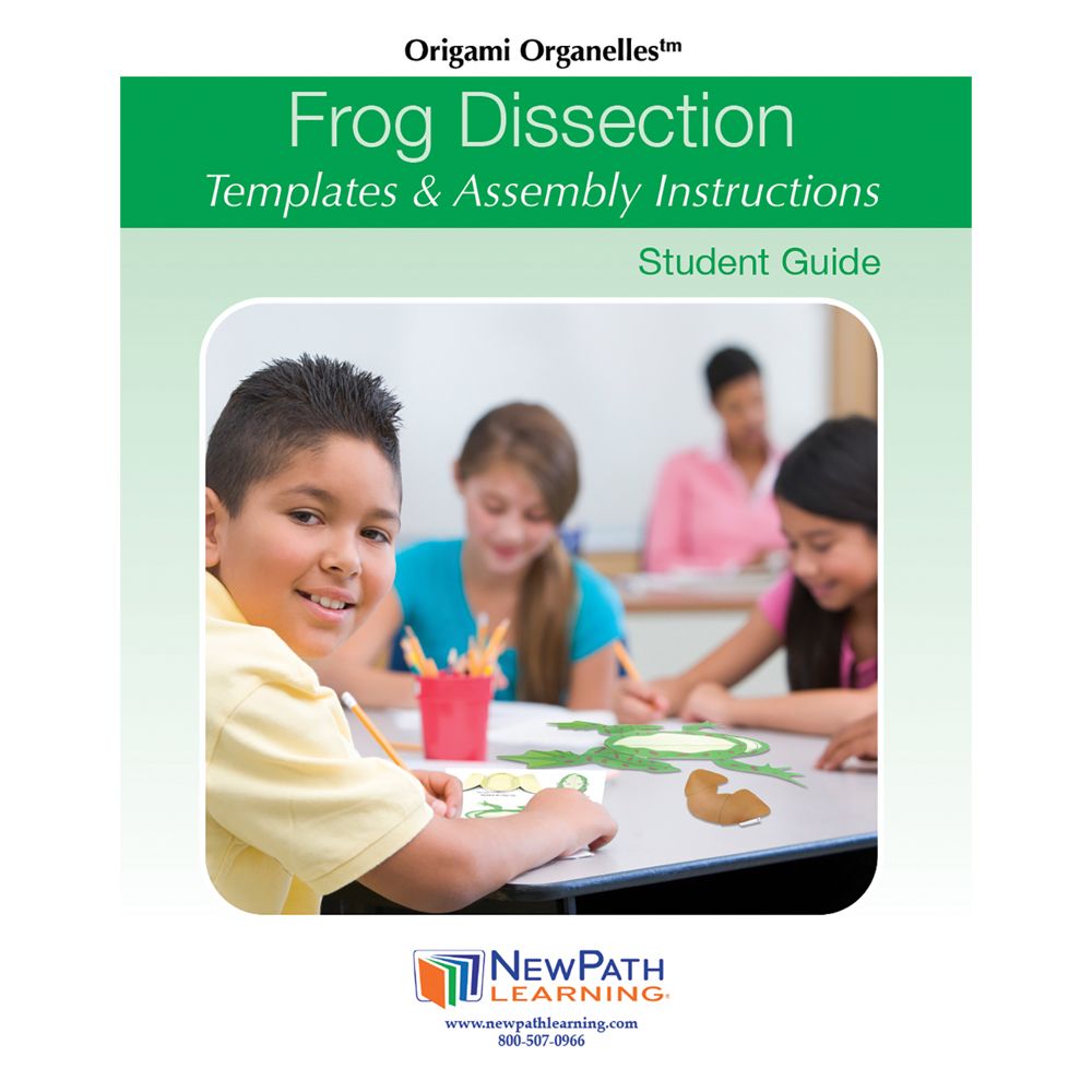 Origami Organelles™ 3-D Model Kit: Frog Dissection | Carolina Biological Supply