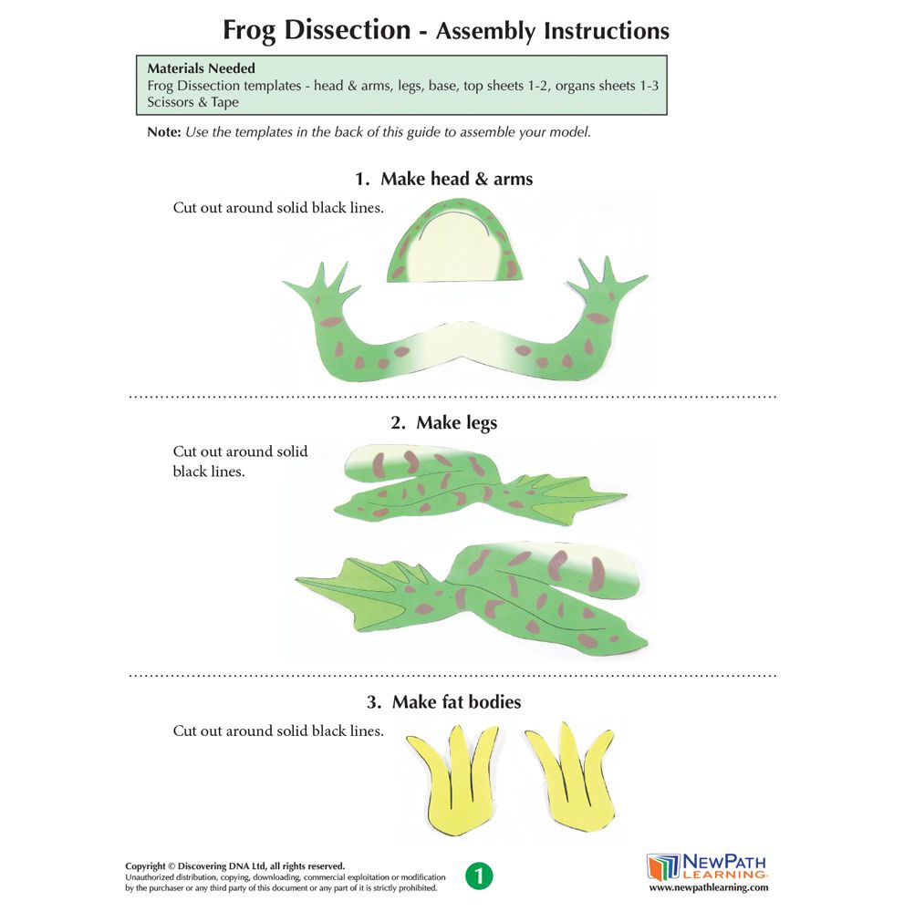 Origami Organelles™ 3-D Model Kit: Frog Dissection | Carolina Biological Supply