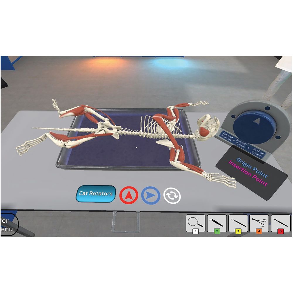 Digital Dissection: Cat, Individual License | Carolina Biological Supply