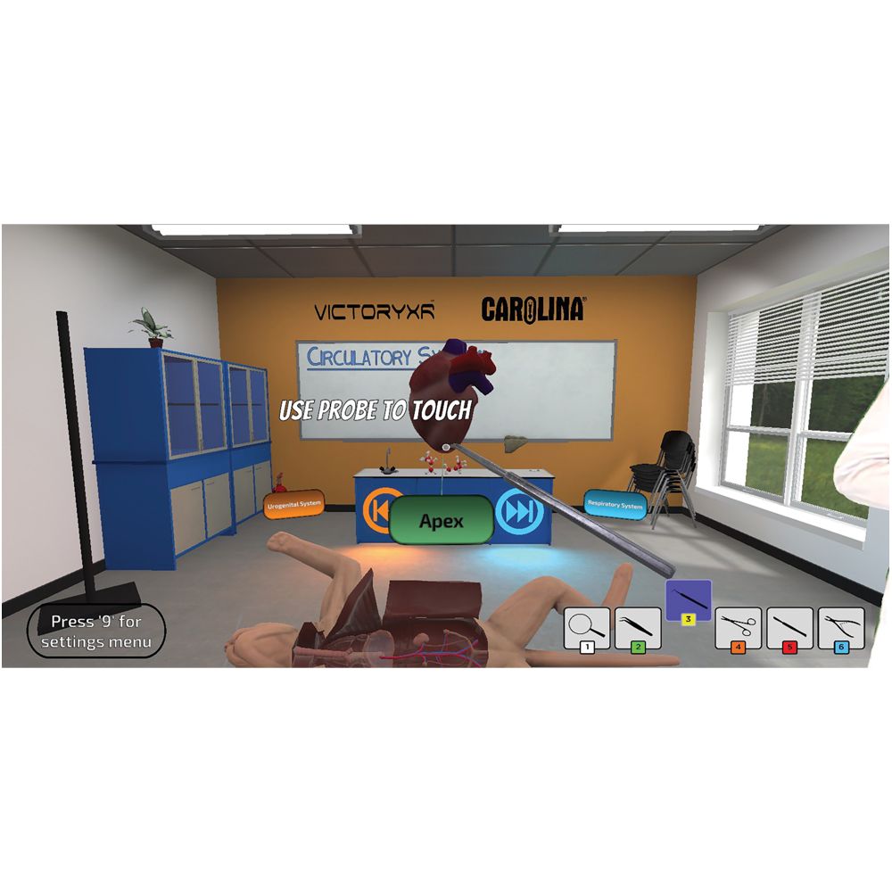 Digital Dissection: Cat, Site License | Carolina Biological Supply