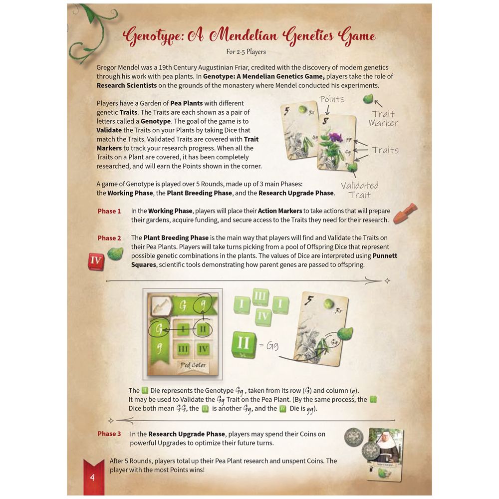 Genotype: A Mendelian Genetics Game | Carolina Biological Supply