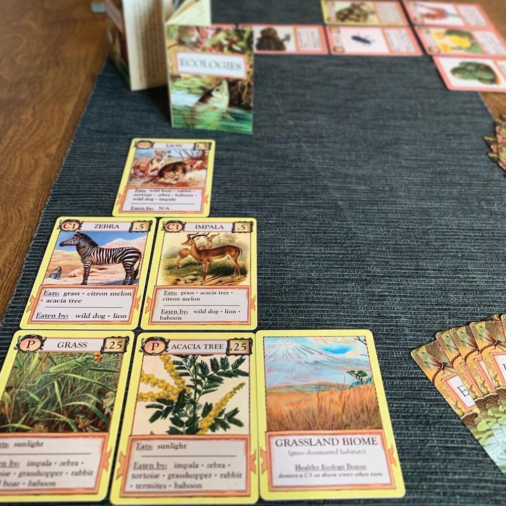 Ecologies Card Game | Carolina Biological Supply