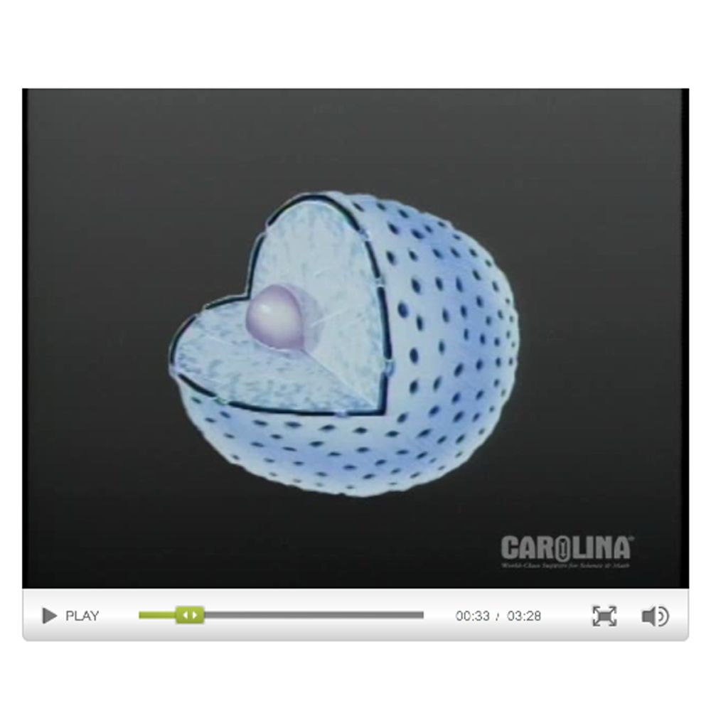 An Introduction to the Living Cell Videos | Carolina Biological Supply