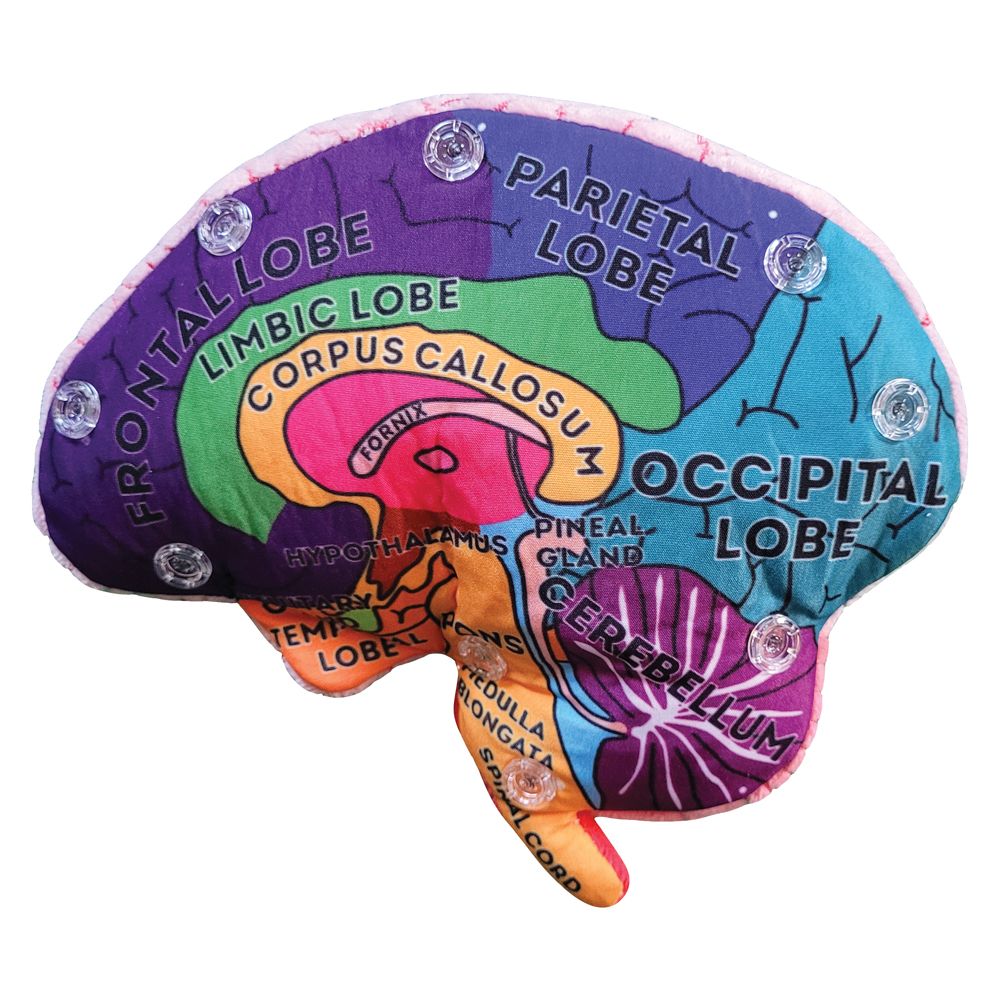 GIANTmicrobes® Brain Plush | Carolina Biological Supply