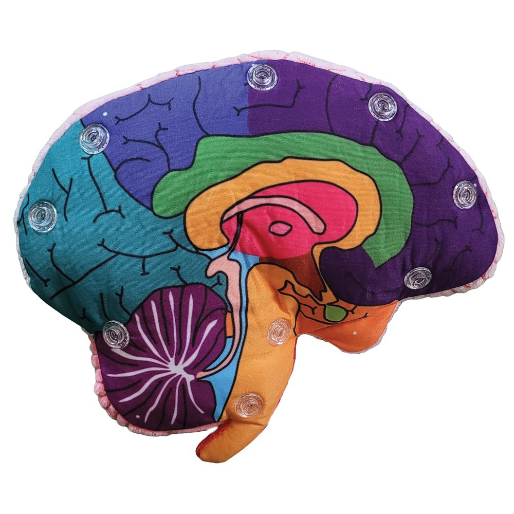 GIANTmicrobes® Brain Plush | Carolina Biological Supply