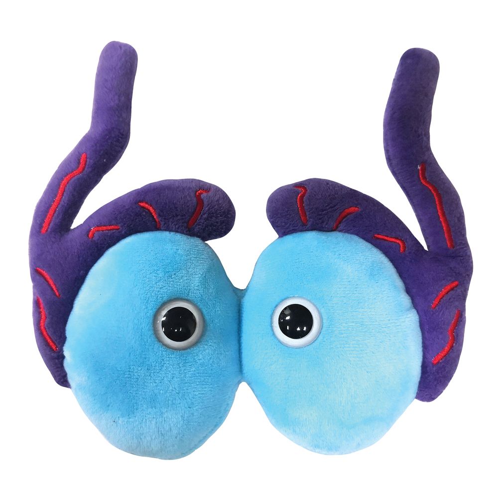 GIANTmicrobes® Testicles Plush | Carolina Biological Supply