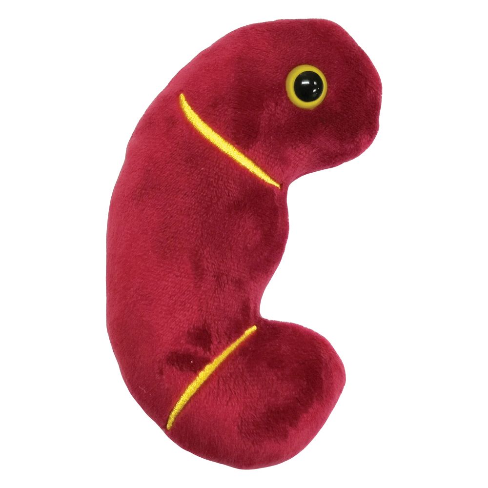 GIANTmicrobes® Kidney Plush | Carolina Biological Supply