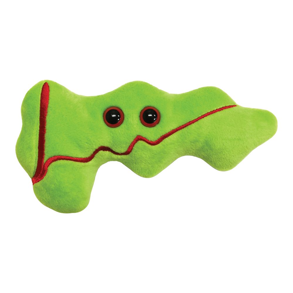 GIANTmicrobes® Pancreas Plush | Carolina Biological Supply