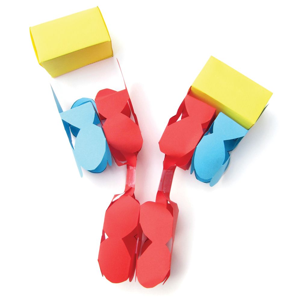 Origami Organelles™ 3-D Paper Model Kit: Antibodies Test | Carolina ...