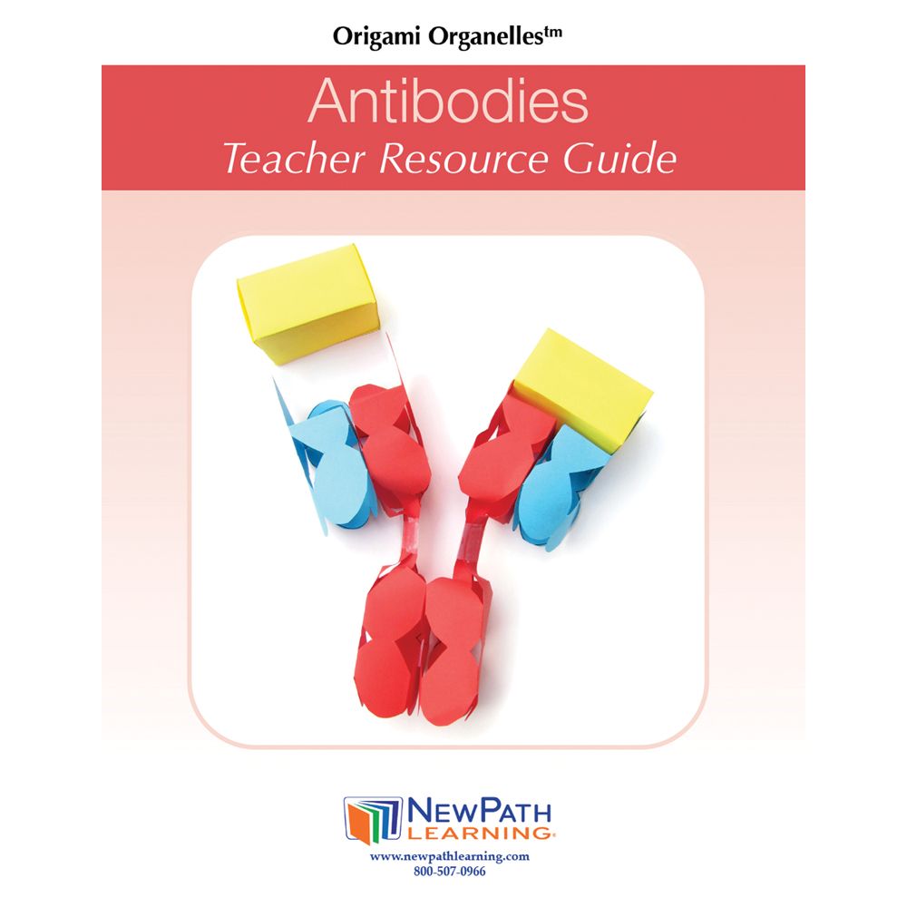 Origami Organelles™ 3-D Paper Model Kit: Antibodies Test | Carolina ...