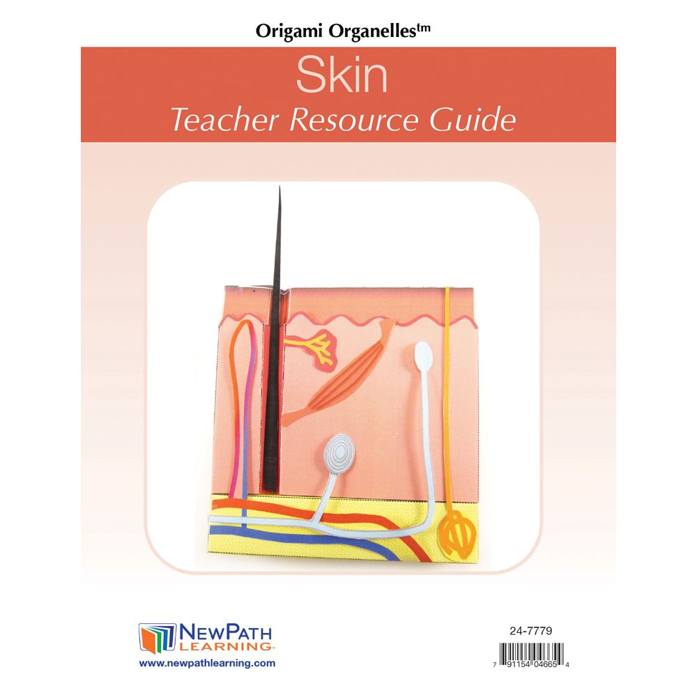 Origami Organelles™ 3-D Paper Model Kit: Skin | Carolina Biological Supply