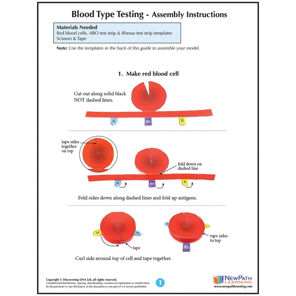 Origami Organelles™ 3-D Paper Model Kit: Blood Type Testing | Carolina ...