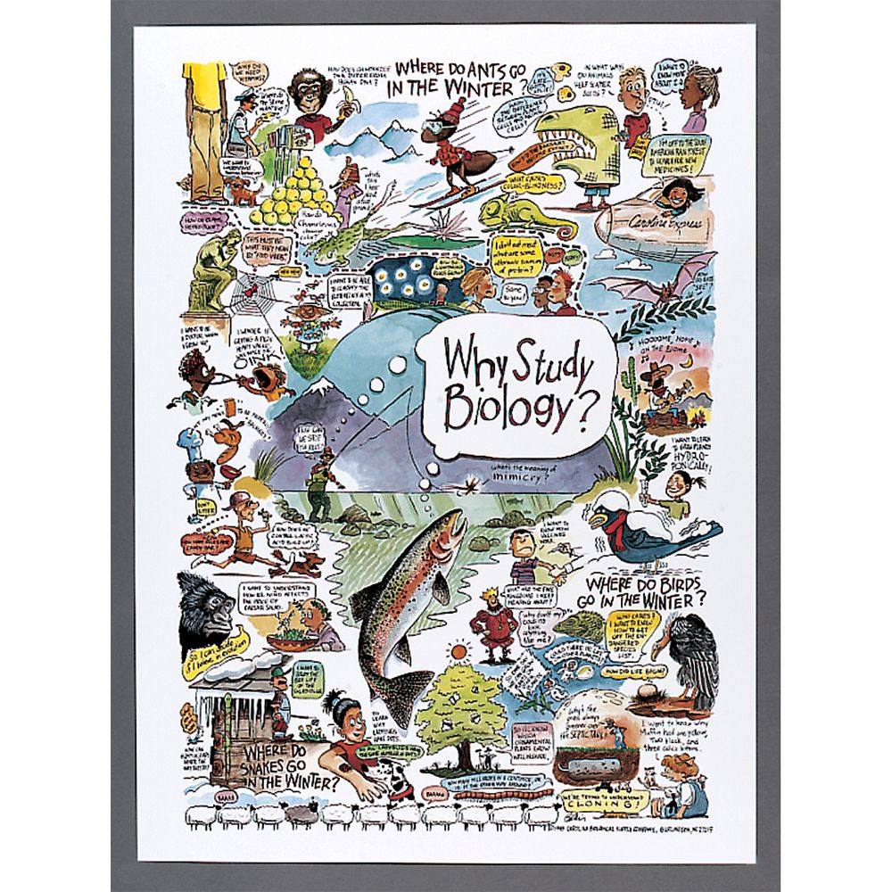 Why Study Biology? Chart | Carolina Biological Supply