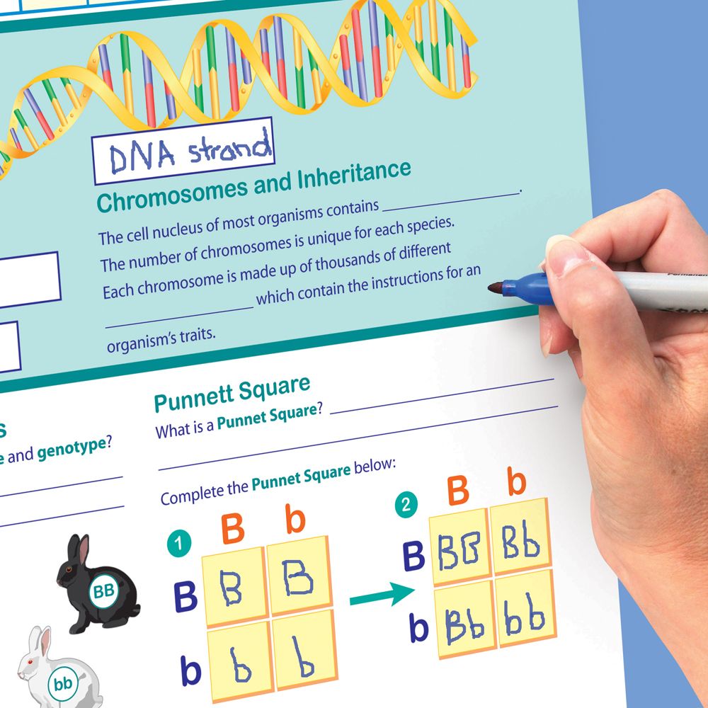 Curriculum Mastery Genetics & Heredity Flip Chart | Carolina Biological ...