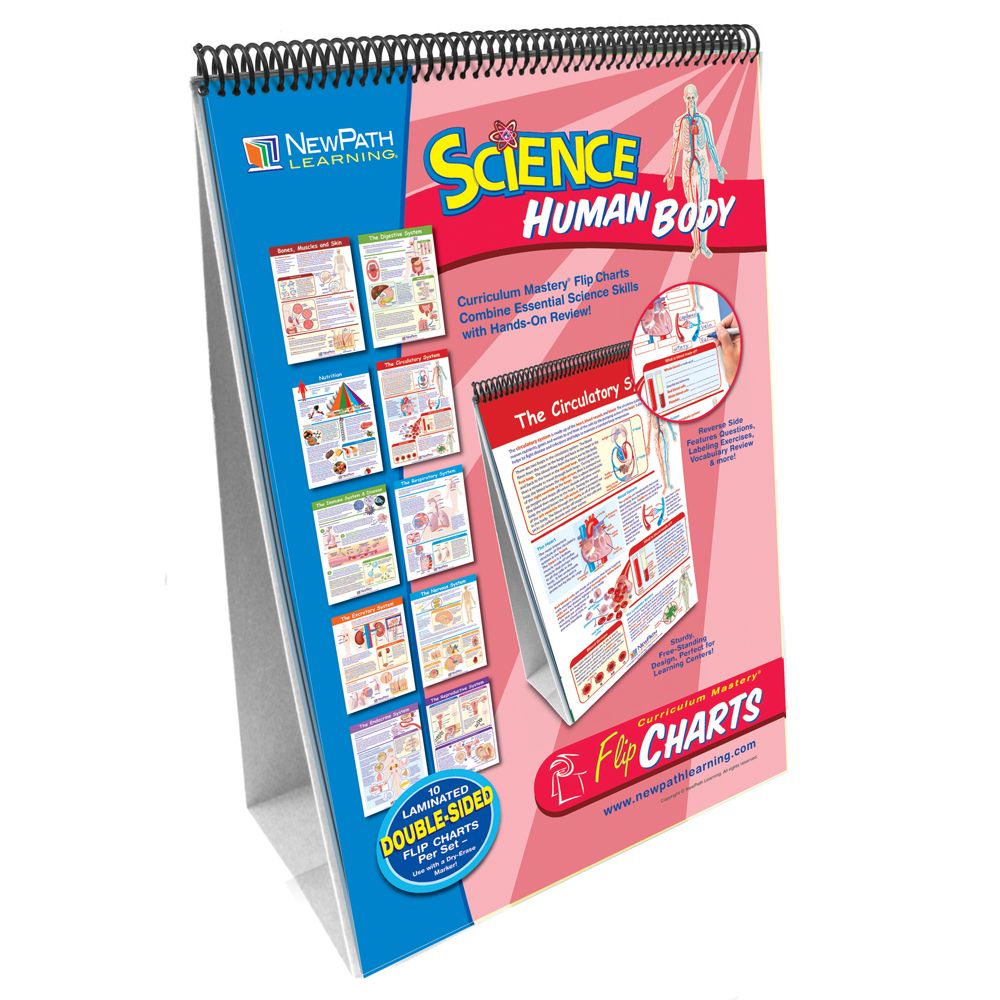 Curriculum Mastery Human Body Flip Chart | Carolina Biological Supply