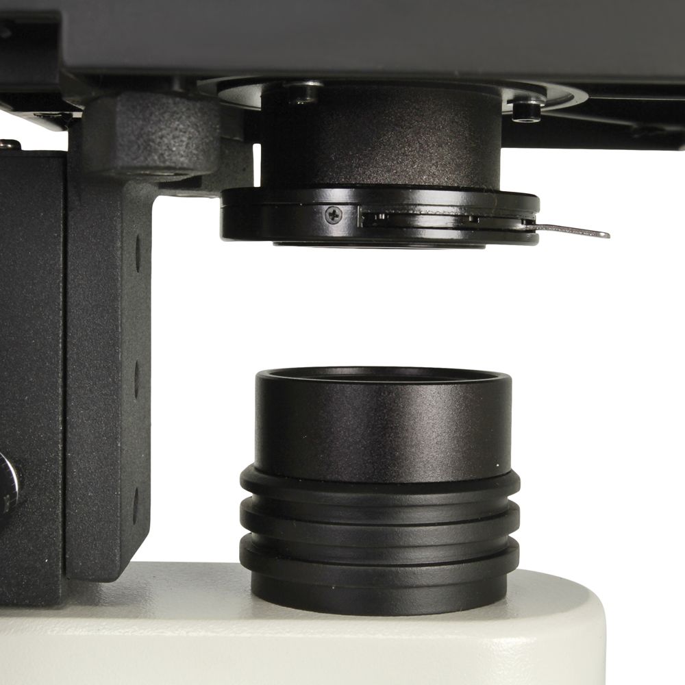 Wolfe® LED Educational Microscope with Mechanical Stage | Carolina ...