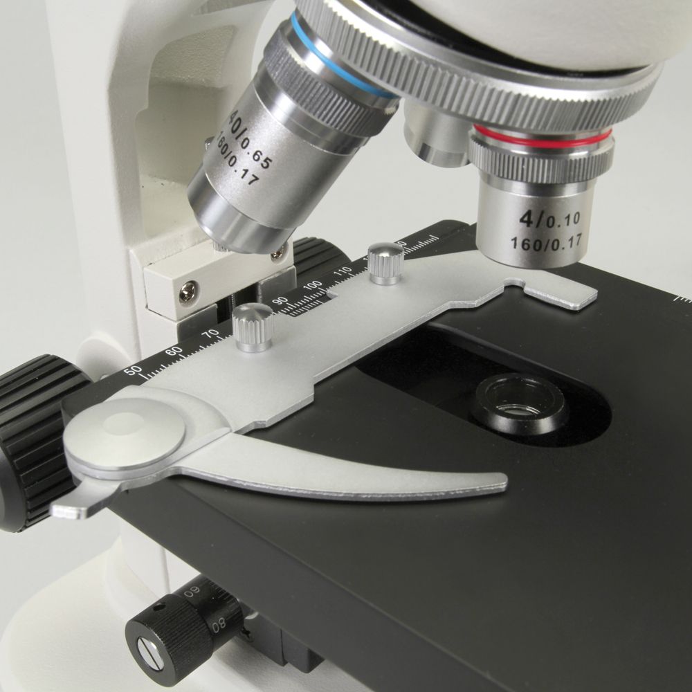 Wolfe® LED Educational Microscope with Mechanical Stage | Carolina ...